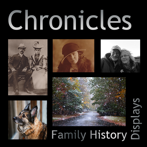 cShoresal.com | Art for Outdoor Living